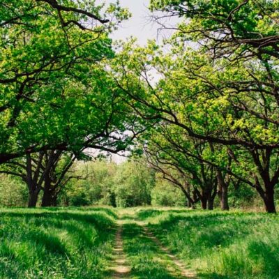 Michele Peruzzi – Postdoctoral associate. Department of Statistical ...